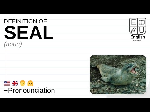 SEAL meaning, definition & pronunciation | What is SEAL? | How to say SEAL