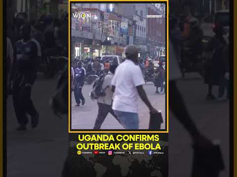 Uganda Confirms Outbreak Of Ebola In Capital Kampala, One Dead | WION Shorts