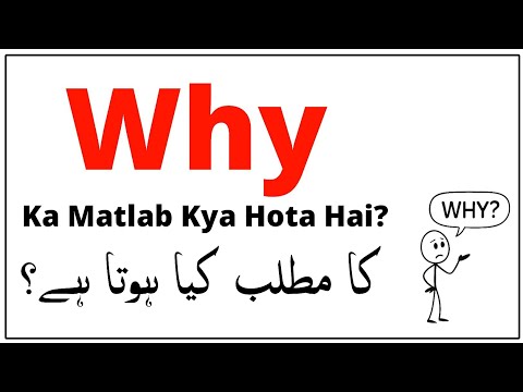 Why Meaning In Urdu | Why Ka Kya Matlab Hota Hai | Why Use