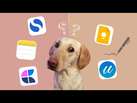 Battle of IOS Notes Apps: Which One Suits You Best?