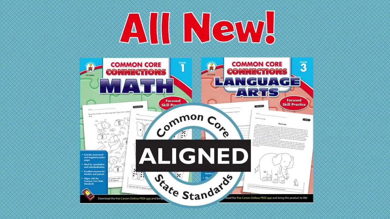 NEW! Common Core Connections Workbooks!