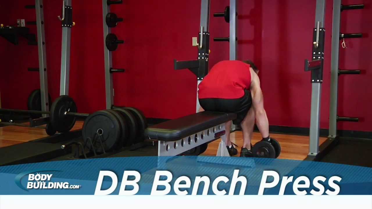 Dumbbell Bench Press - Chest Exercise - Bodybuilding.com