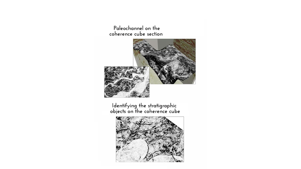 Dynamic processing of seismic data