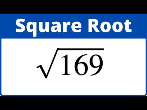 Square Root 169