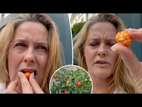Alicia Silverstone Sparks Concern After Sampling Potentially Poisonous Berry in TikTok Video