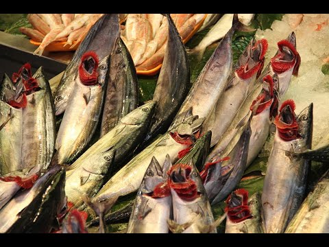 Fischerzeugung in Aquakulturbetrieben leicht gesunken