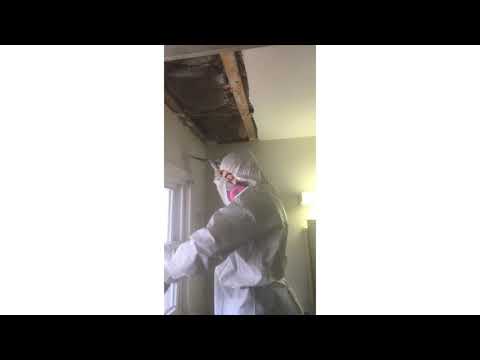 Seeking For Damage Restoration Service in Hamden, CT? We've Got You Covered!!