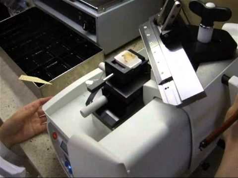 Cryo Vial, Cryogenic Vials Online at Best Price in India