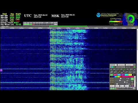 The Buzzer (4625khz) - Live