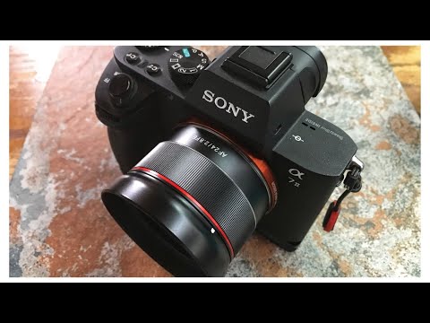 Sony A7 II: 2021's hidden gem (ILCE7M2)