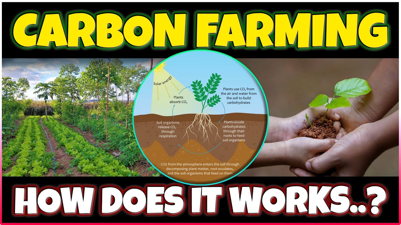 What is Carbon Farming? Why is Carbon Farming important?