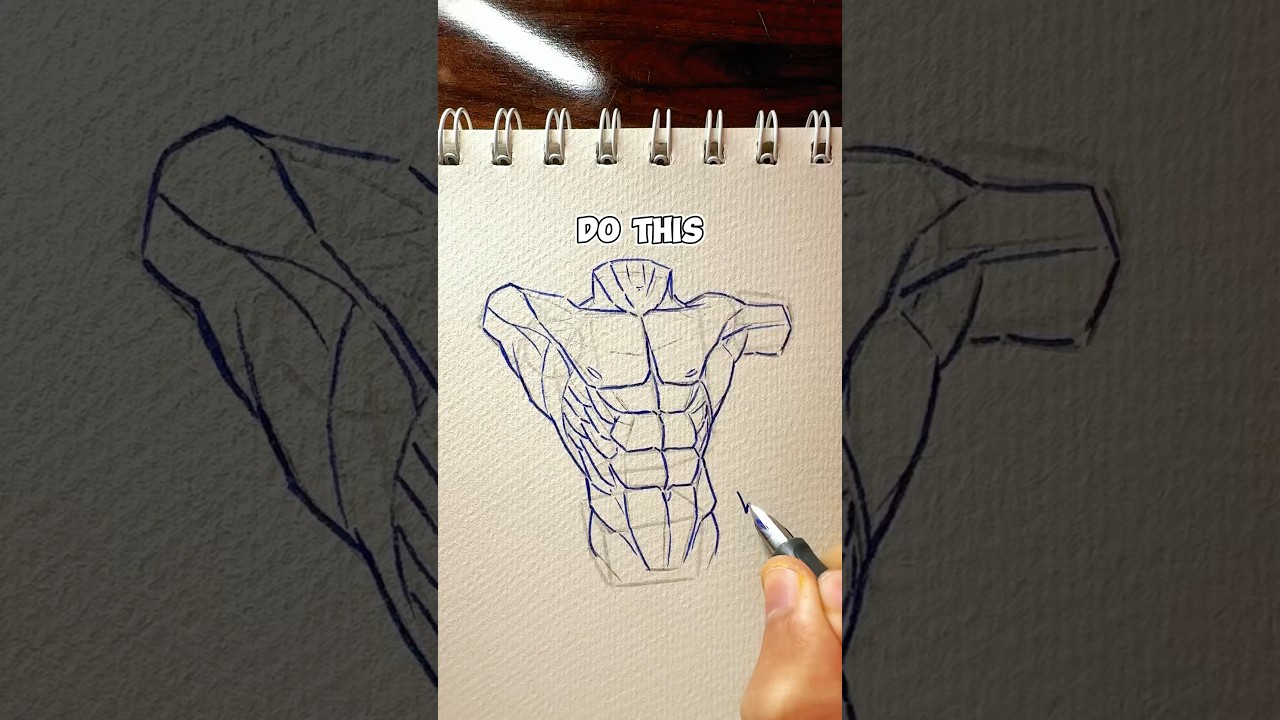 ✨Anatomy drawing tutorial SuperEasy✨ #how