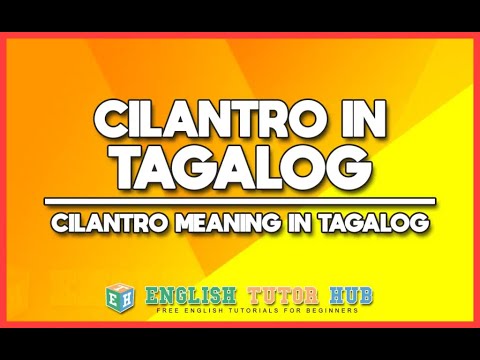 Cilantro In Tagalog – Cilantro Meaning In Tagalog Translation