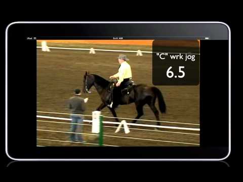 Western Dressage USEF Basic Test #1. What does (69.524) looks like?