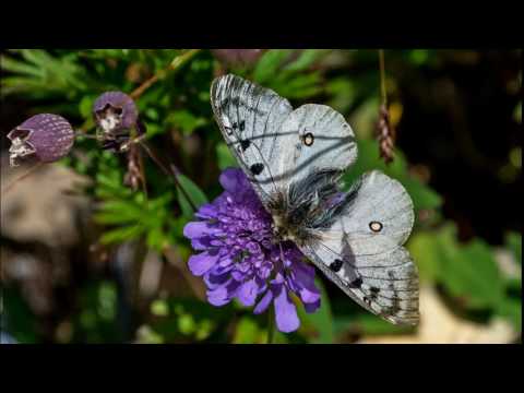 Schweizerhof Flims Fotoworkshop 2016