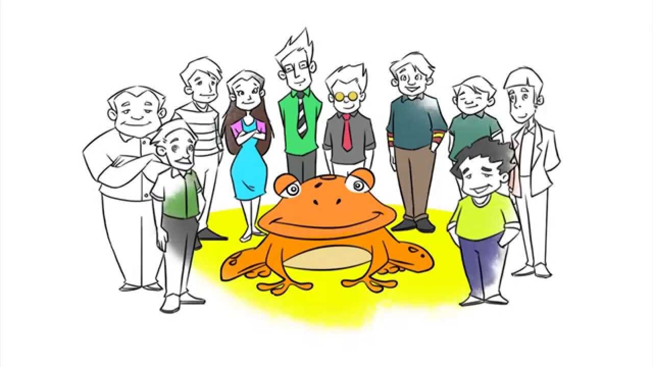 Orange Frog Paul Rigby