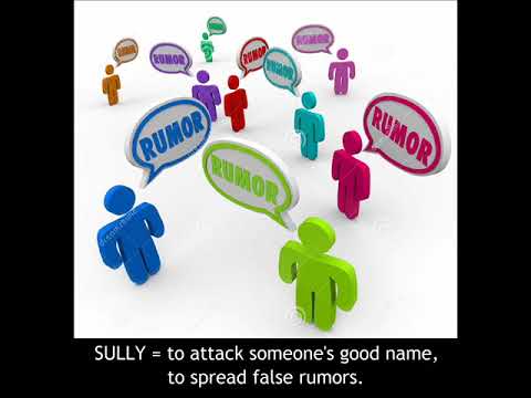 SULLY / meaning (images)