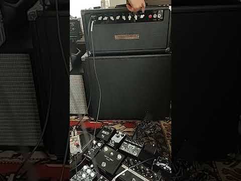 Ceriatone Stray Cat 2021 Organdonor build with 2x10 celestion | Reverb