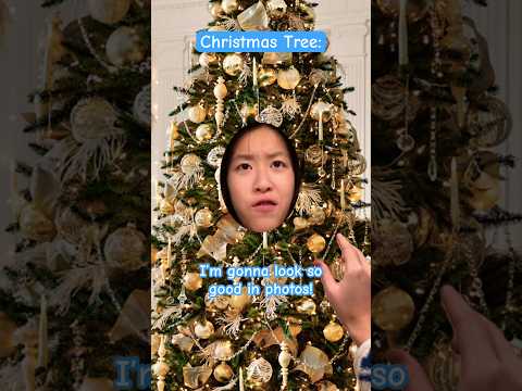 Christmas Treeās Pet Peeve