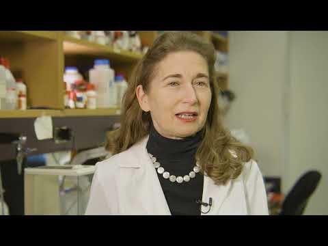 UAB Comprehensive Diabetes Center: Finding a Cure