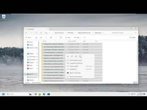 Temporary Files Not Deleting in Windows 11/10 [Solution]