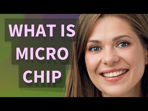 Micro chip | meaning of Micro chip