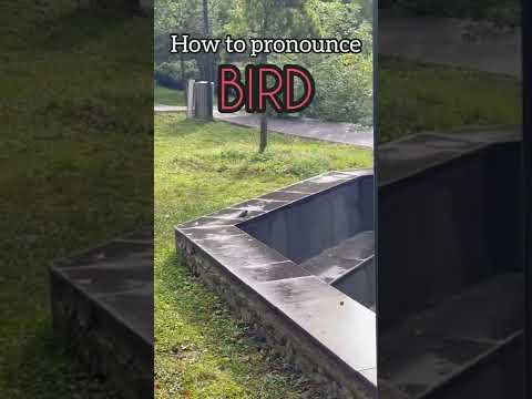 How to Pronounce Bird #English #pronunciation #sayitcorrectly