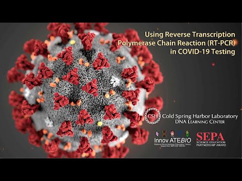 Using Reverse Transcription Polymerase Chain Reaction (RT-PCR) in COVID-19 Testing