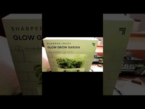 Indoor Grow Kit #indoorgardening #soilless #gardening