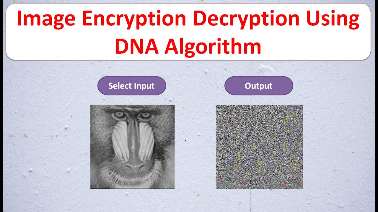 Image Encryption Decryption Using DNA Algorithm | Image Encryption Decryption Using Matlab Code