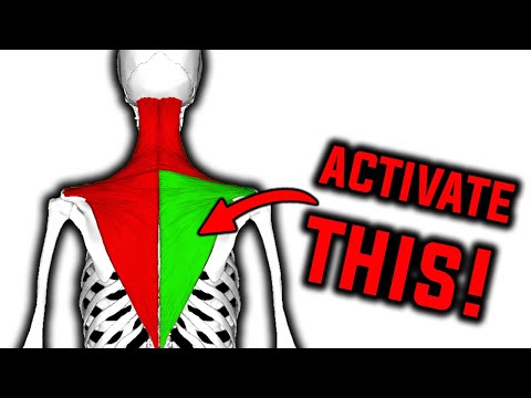 Re-program Your Trapezius and Fix Posture, Upper Back & Neck Pain!