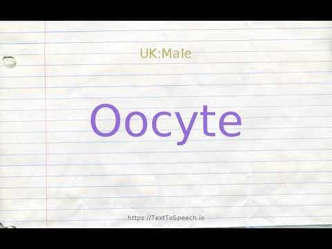 How to pronounce oocyte