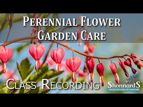 The Beauty of Perennials - Class Recording
