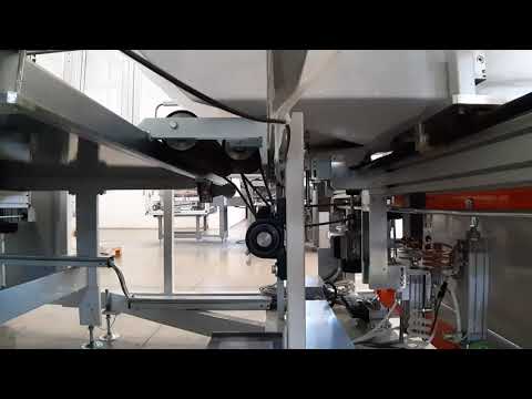 Sotemapack Totalpack 130 case packer for doors and panels - Robopac USA