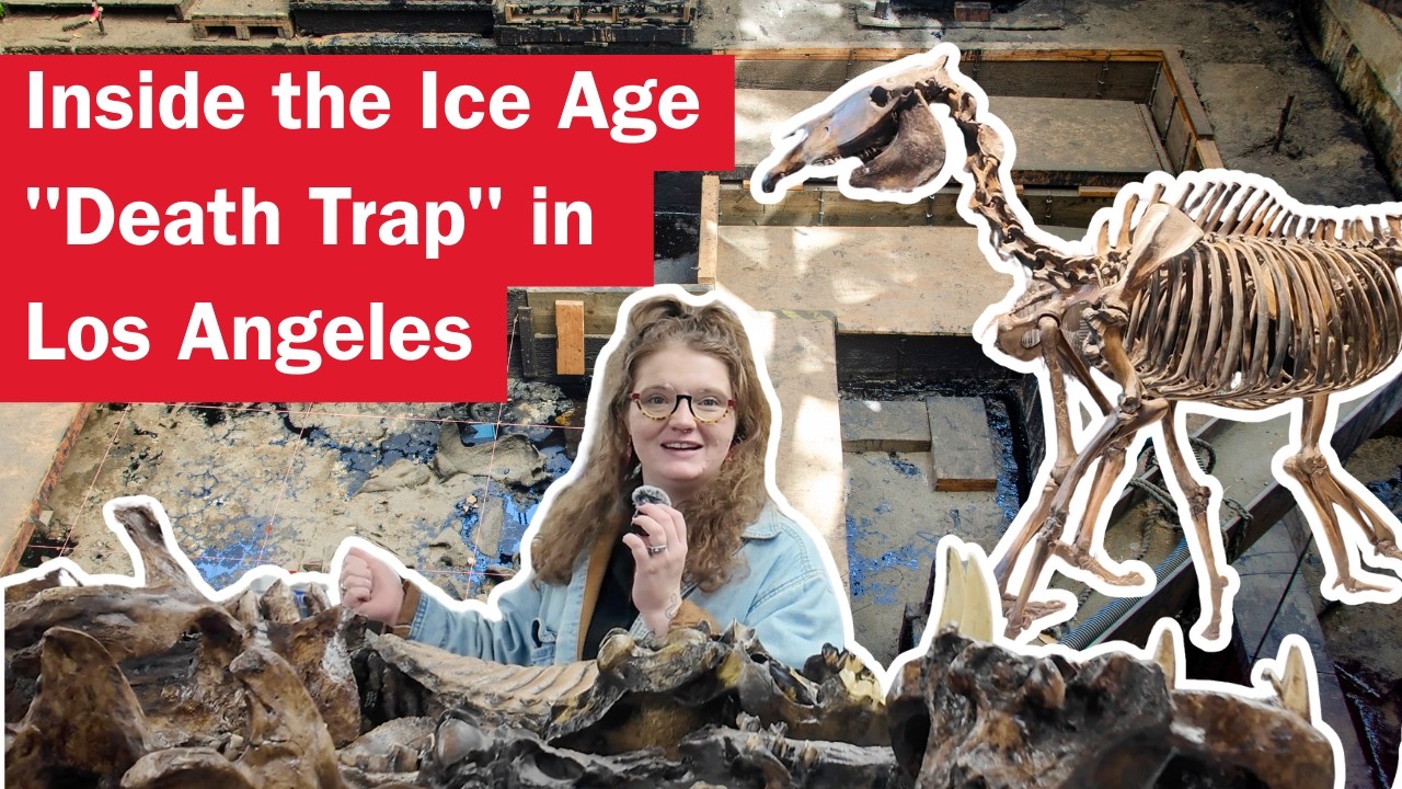 Inside the La Brea Tar Pits: Rare Ice Age Fossils & Behind-the-Scenes Tour