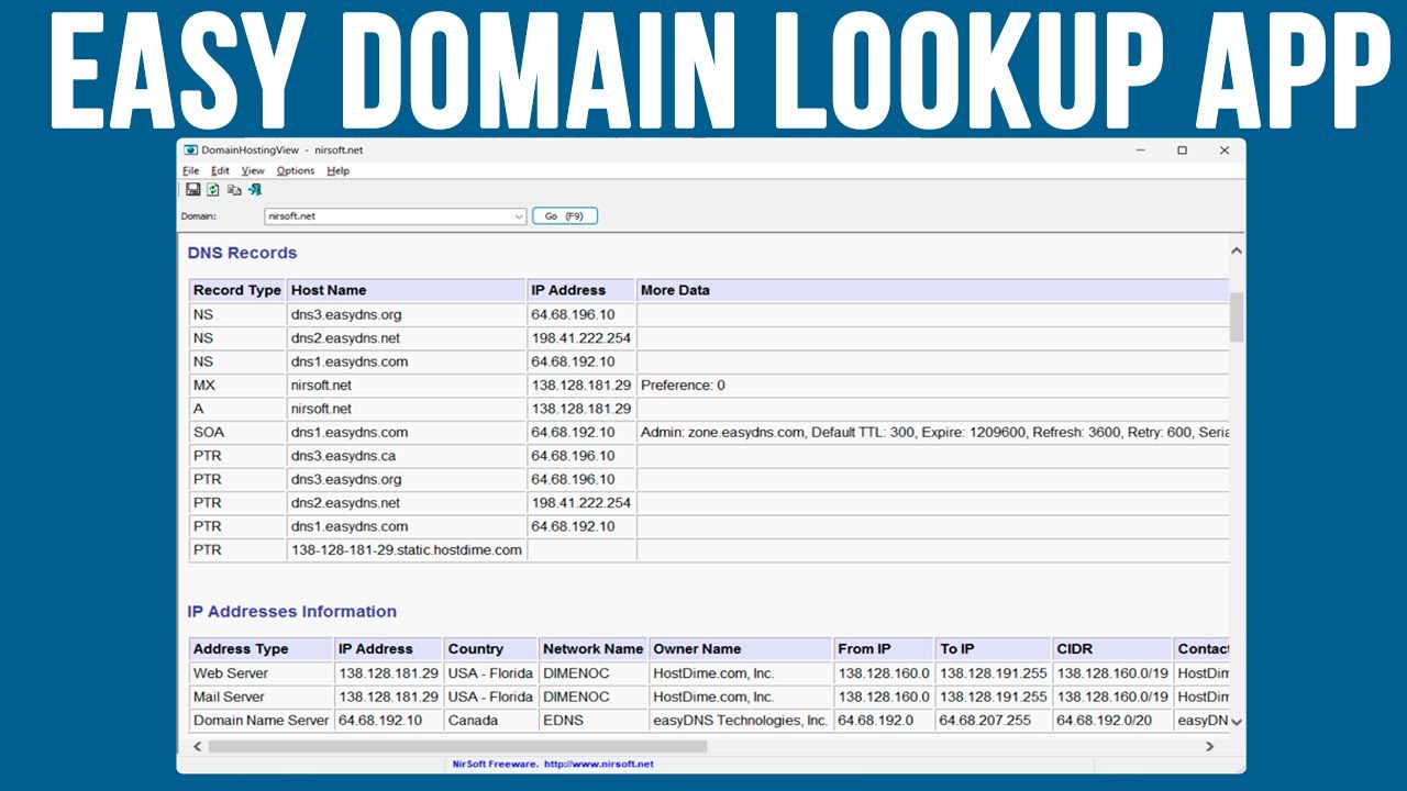 How to Find Detailed Domain Information for a Website