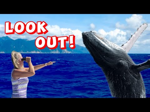 DANGER & DELIGHT—Sailing With Whales!! [S2E27]