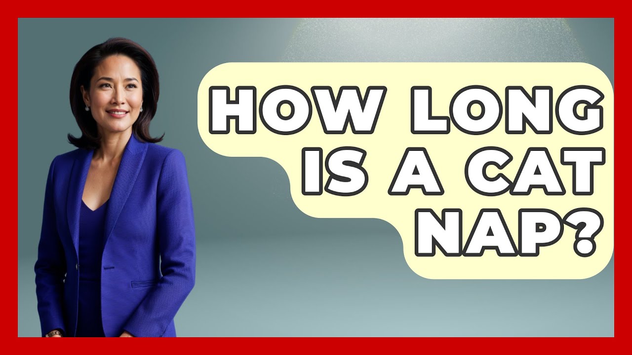 How Long Is A Cat Nap? - Sleep Wellness Workshop