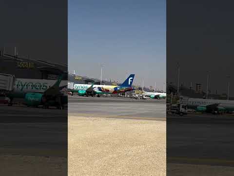 Facebook or FlyNas? 🤣✌️ #flynas #shorts #terminal