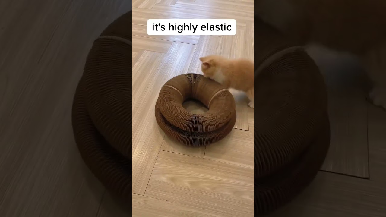 This cat toy is amazing