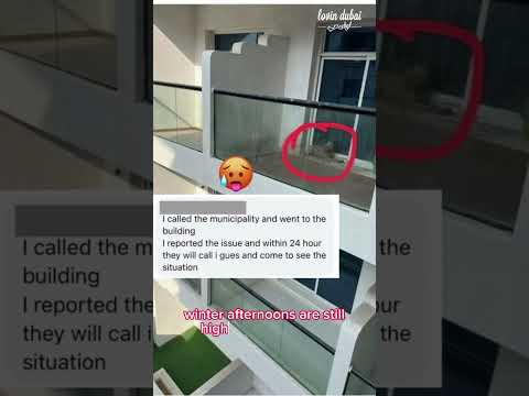 The Dubai Community Effect Of Rescuing A Dog!