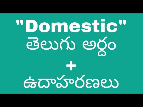Domestic meaning in telugu with examples | Domestic తెలుగు లో అర్థం #meaningintelugu