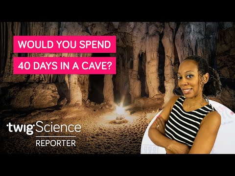 Twig Science: Cave Experiment - 40 D…: English ESL video lessons