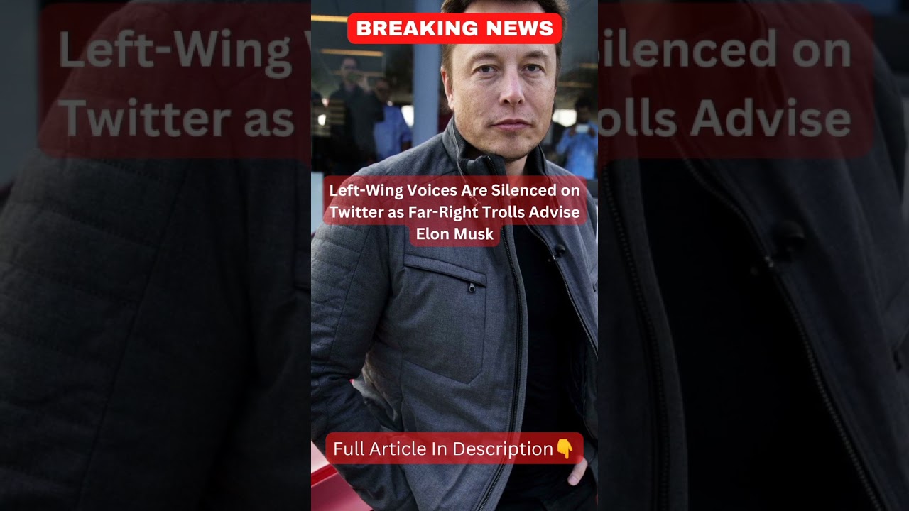 Left-Wing Voices Are Silenced on Twitter as Far-Right Trolls Advise Elon Musk | #shorts
