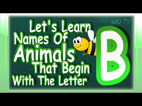 Animals Names In English That Begin With The Letter B | Learn Animals Names With Pictures | kidO TV