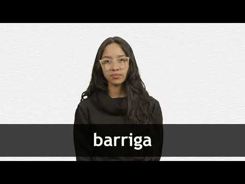 How to pronounce BARRIGA in Latin American Spanish
