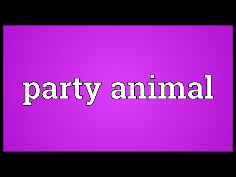 Party animal Meaning