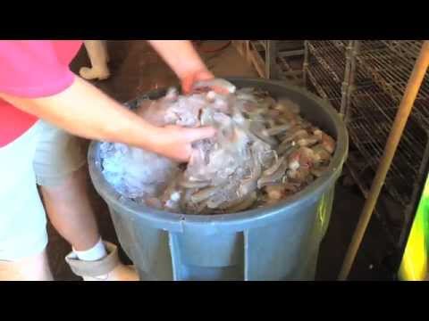 Shrimping Industry In Georgia Is Tough, But Worth It To State