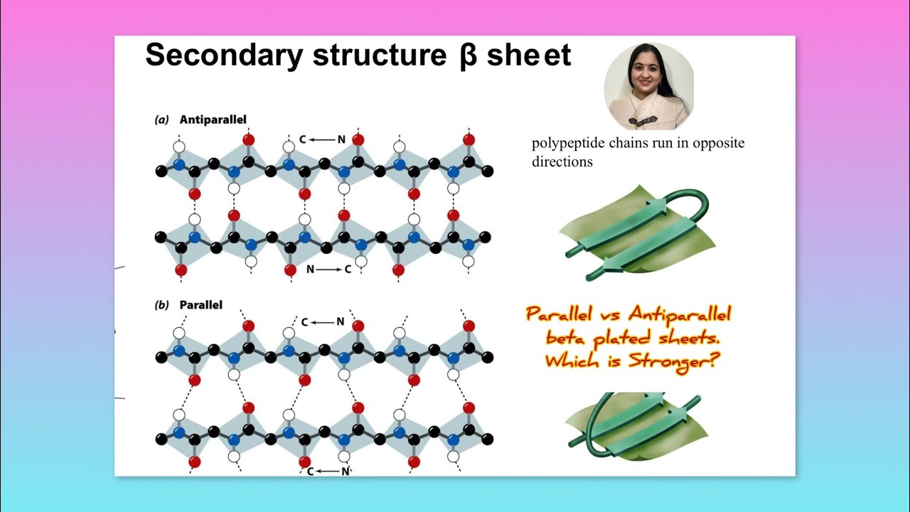 Parallel vs Antiparallel beta sheets. Which is Stronger?