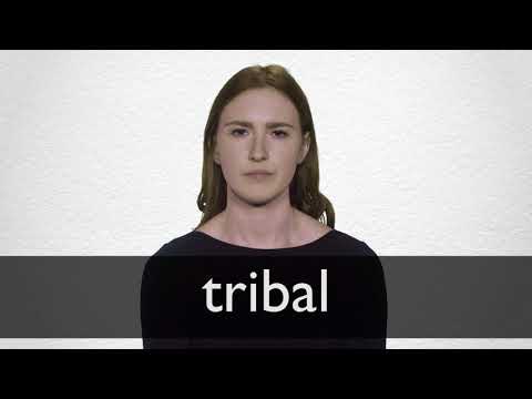 TRIBAL definition and meaning | Collins English Dictionary